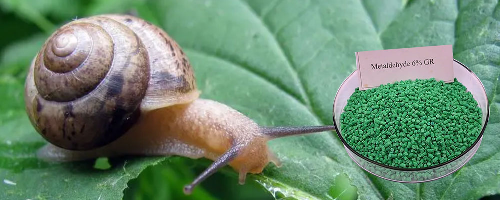 Metaldehyde slug baits 2.5 dp pellets for slugs and snail - Pesticides ...