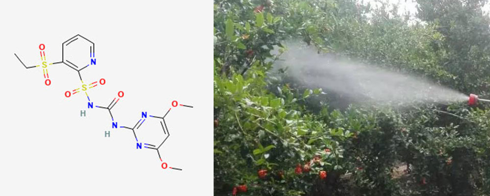 Rimsulfuron 25df herbicide - Pesticides products,Herbicides,Fungicide ...